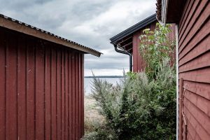 Types of Timber Cladding: Profiles and What to Use Where